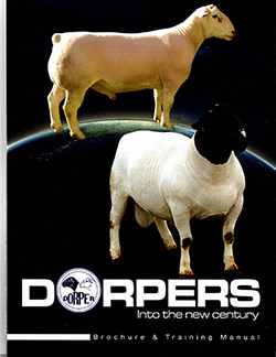 American Dorper Sheep Breeders' Society – Official U.S. Registry of ...