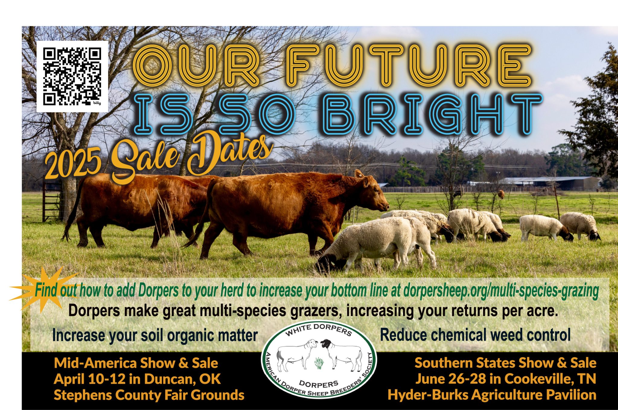 Multi-Species Grazing – American Dorper Sheep Breeders' Society